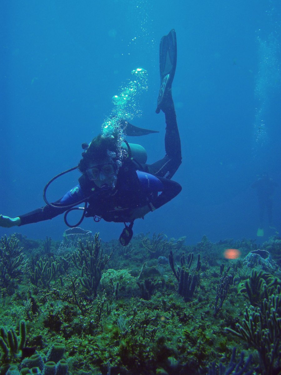 Cancun Scuba Photo Gallery